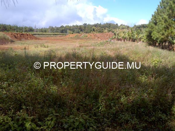Agricultural plot of 1.02 arpents in Mare Longue – propertyguide.mu